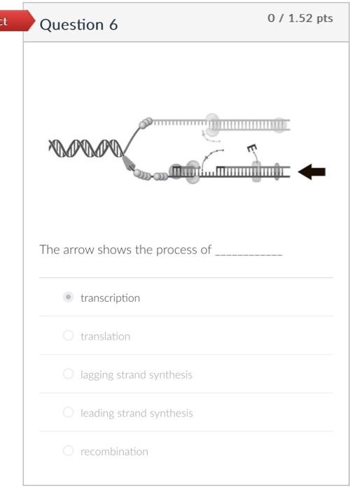Solved the answer to this question is not transcription . | Chegg.com