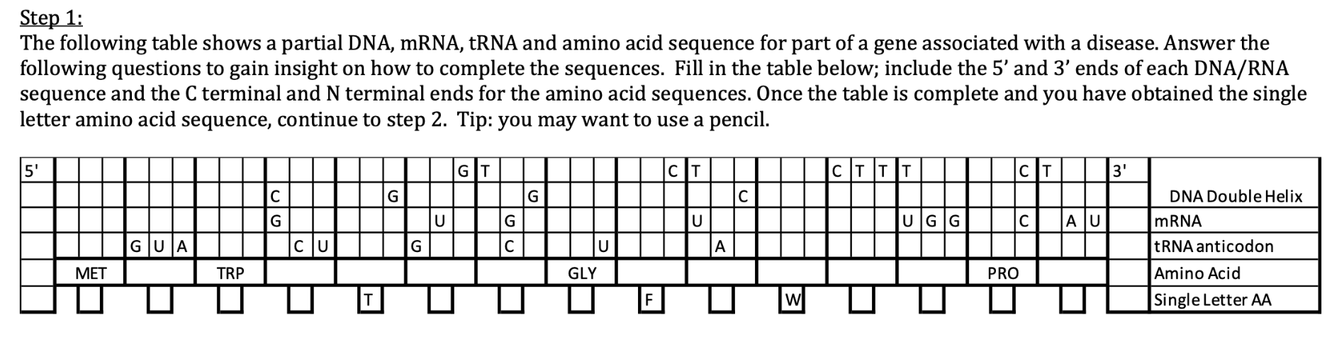 Solved 1: What is the protein sequence? (type out the single | Chegg.com
