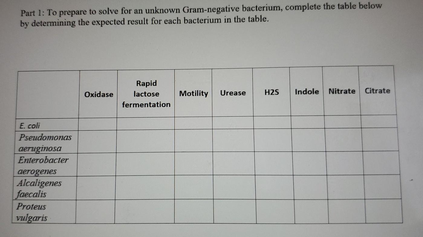 Solved Part 1: To prepare to solve for an unknown | Chegg.com