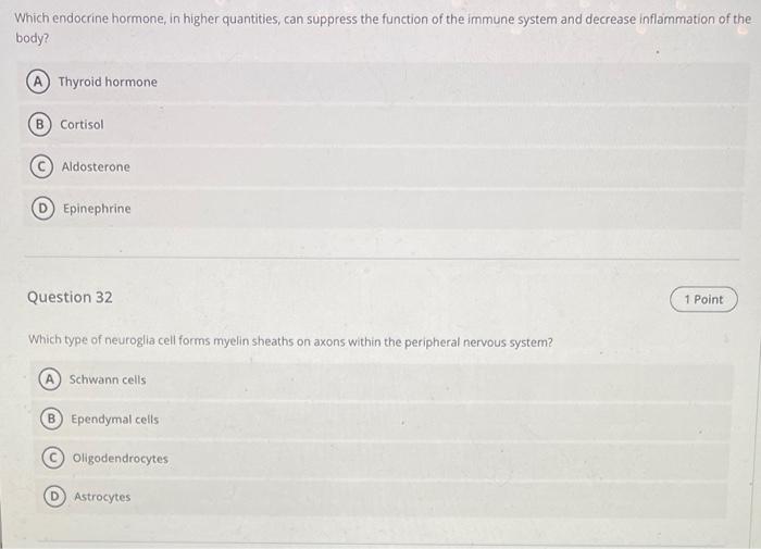 Solved Hello! i need help answering ALL of the following | Chegg.com