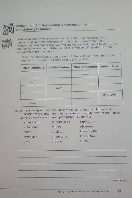 Solved Fill in the chart below. Use the MRNA Codon Chart | Chegg.com