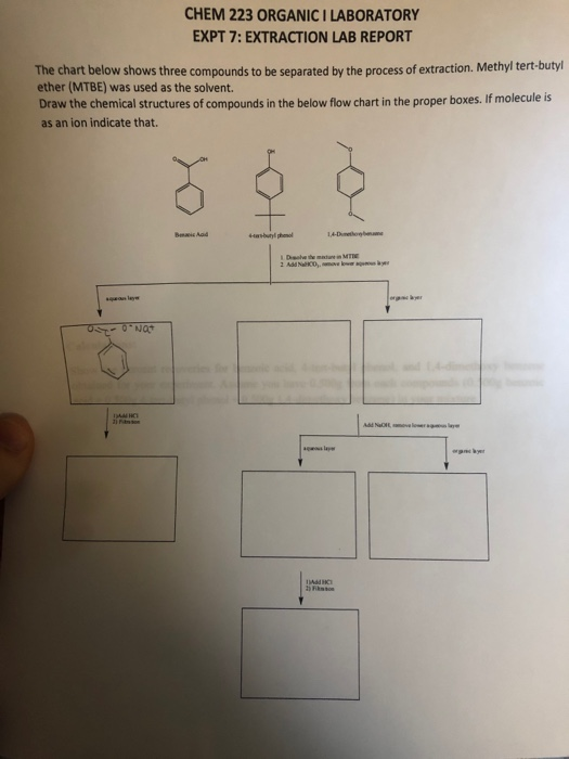 Solved CHEM 223 ORGANIC I LABORATORY EXPT 7: EXTRACTION LAB | Chegg.com