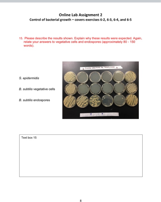 Solved Online Lab Assignment 2 Control of bacterial growth - | Chegg.com