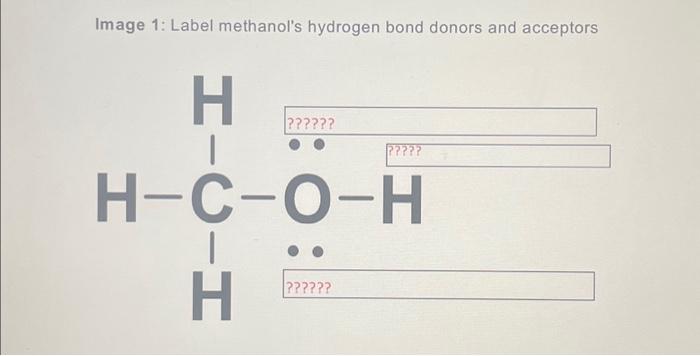Solved Image 1: Label methanol's hydrogen bond donors and | Chegg.com