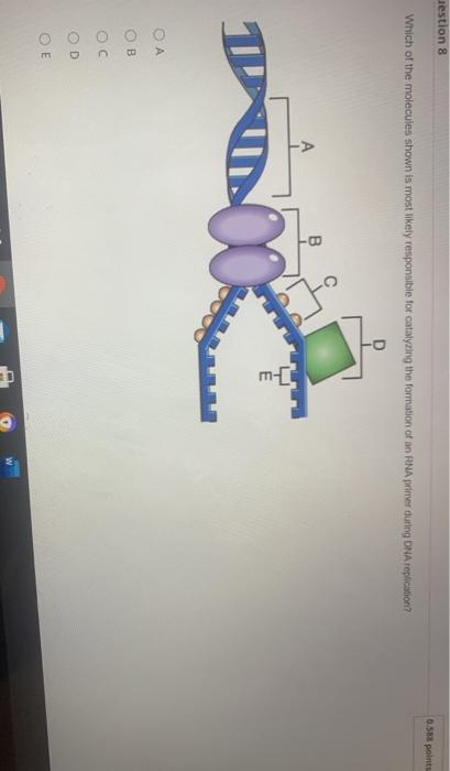 Solved sestion 8 0.588 points Which of the molecules shown | Chegg.com