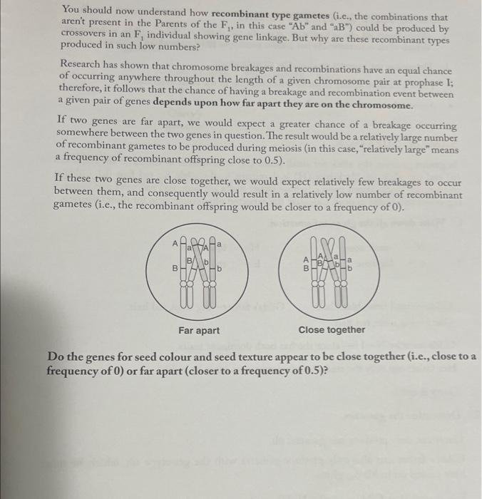 You should now understand how recombinant type | Chegg.com