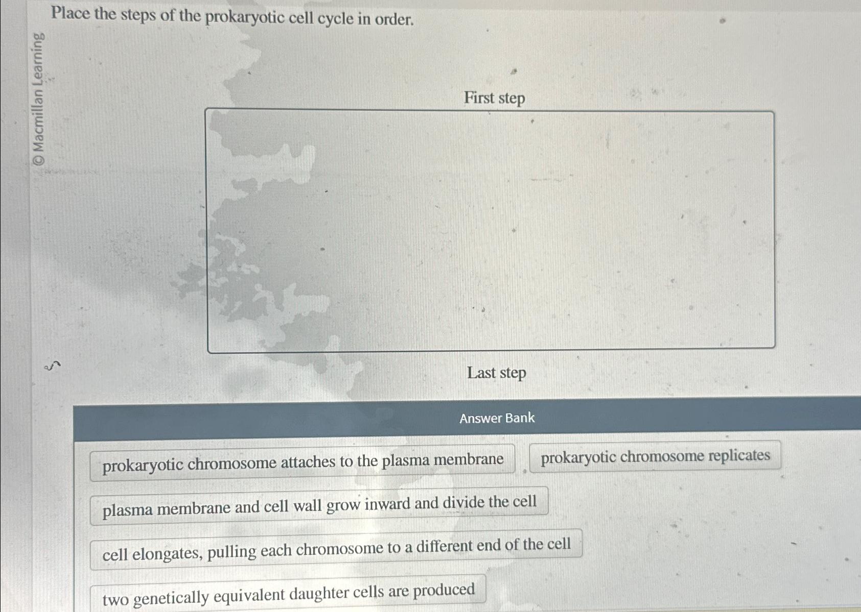 Solved Place the steps of the prokaryotic cell cycle in | Chegg.com
