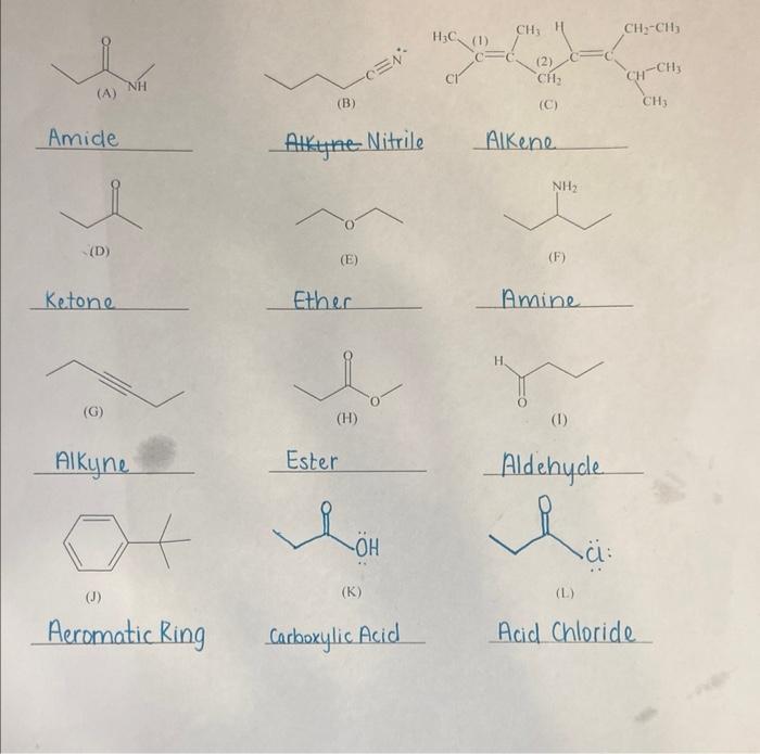 Solved Amide Ketone Amine Alkyne Ester Aldehyde (J) (K) (L) | Chegg.com