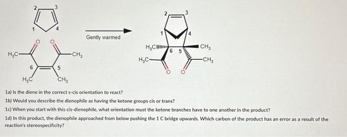 Solved 1a) is the diene in the correct s-cis orientation to | Chegg.com