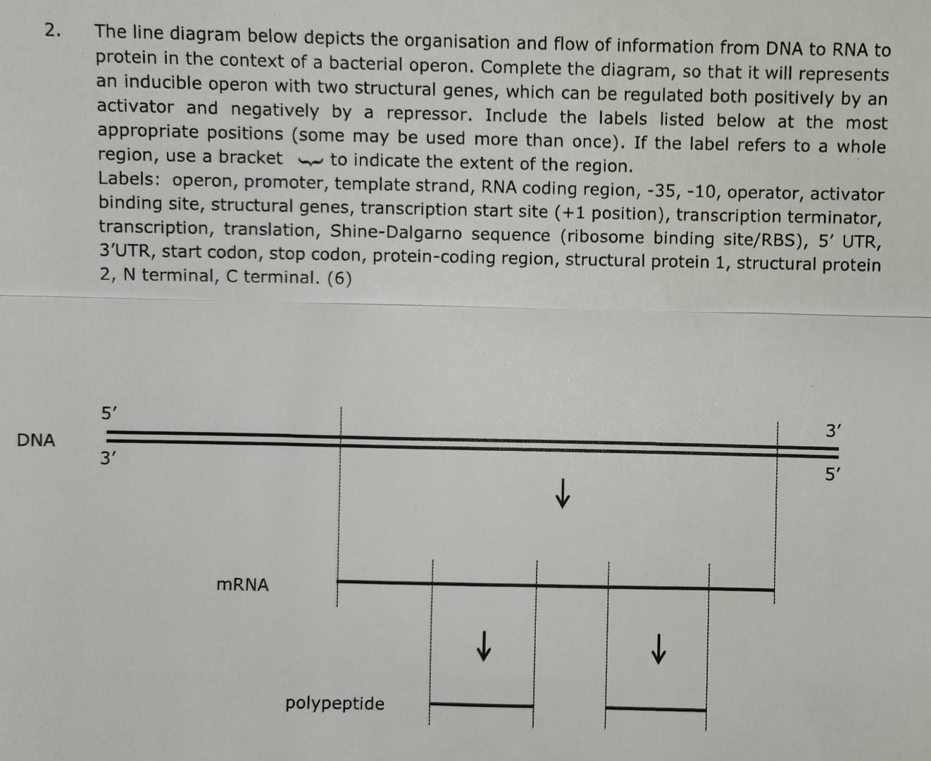 [Solved]: Please complete the diagram 2. The line diagr