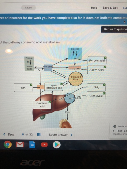 Solved correctly label the following parts of the pathway of | Chegg.com