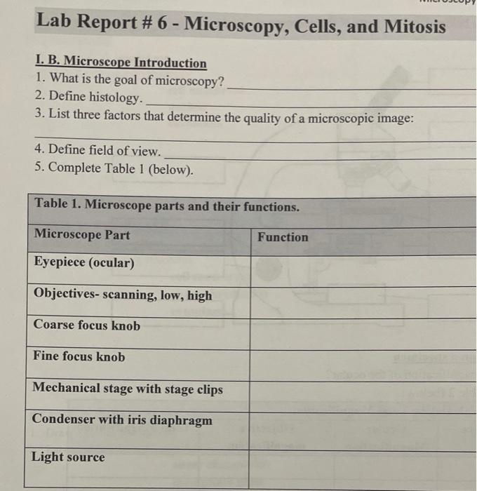 Solved Lab Report #6 - Microscopy, Cells, and Mitosis I. B. | Chegg.com