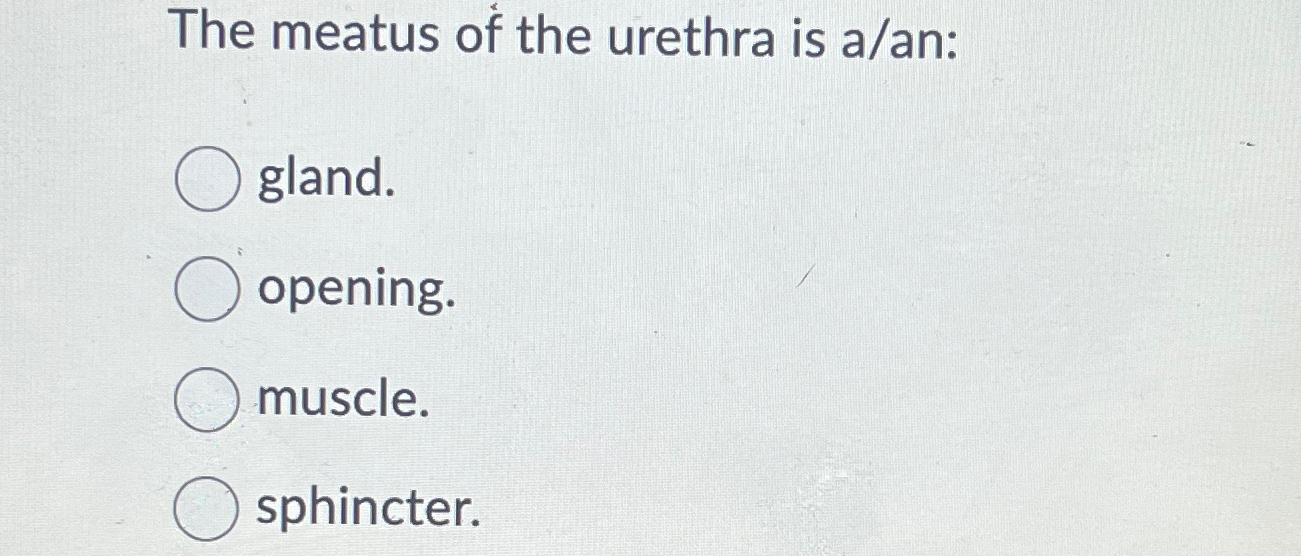 Solved The meatus of the urethra is | Chegg.com