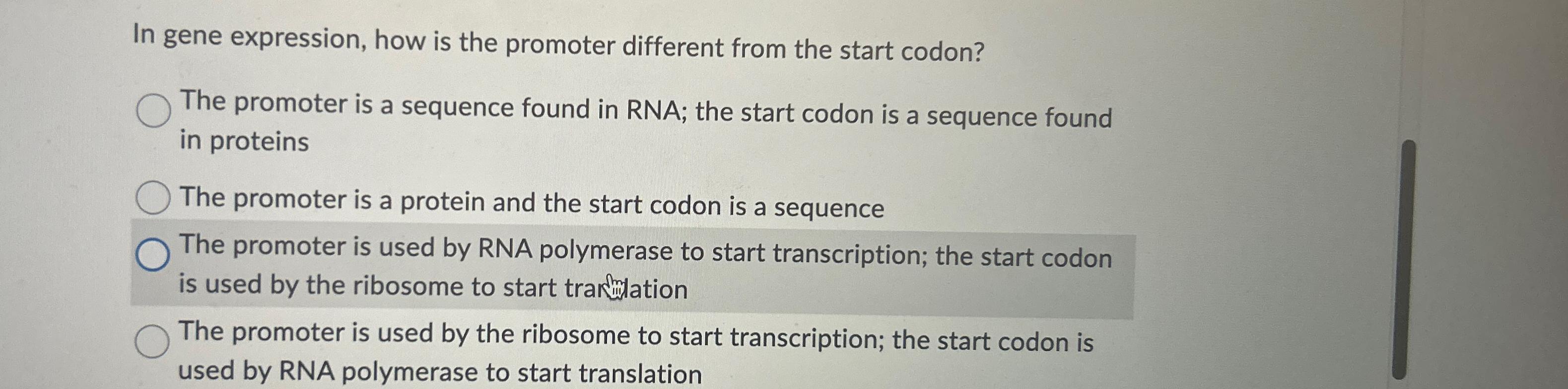 Solved In gene expression, how is the promoter different | Chegg.com