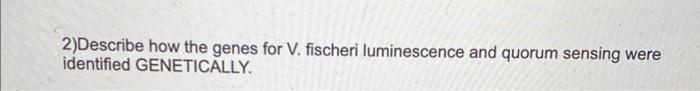 Solved 2)Describe how the genes for V. fischeri luminescence | Chegg.com