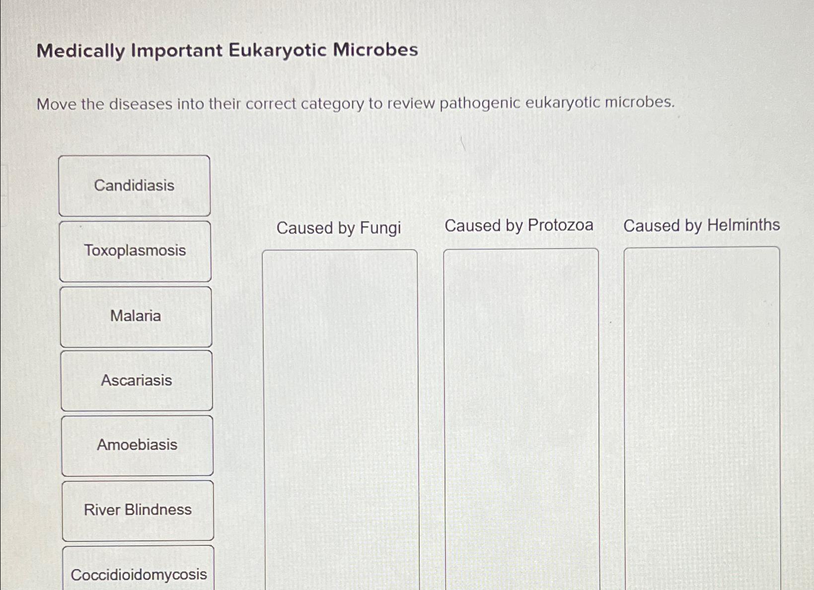 Solved Medically Important Eukaryotic MicrobesMove the | Chegg.com