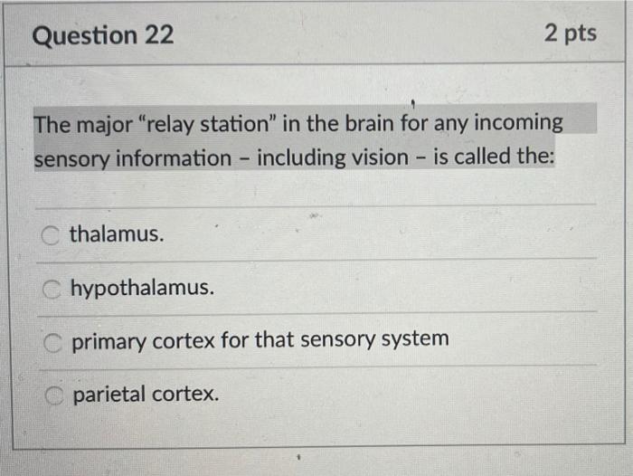 Solved Question 22 2 pts The major "relay station" in the | Chegg.com