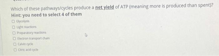 Solved Which of these pathways/cycles produce a net yield of | Chegg.com