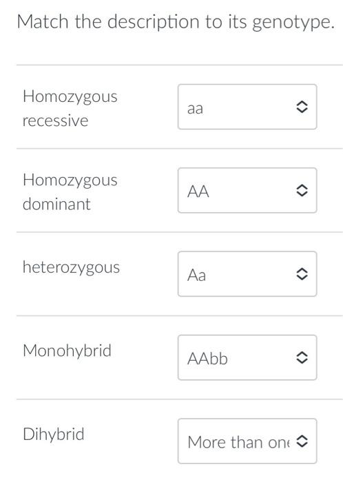 Solved Match the description to its genotype. Homozygous | Chegg.com