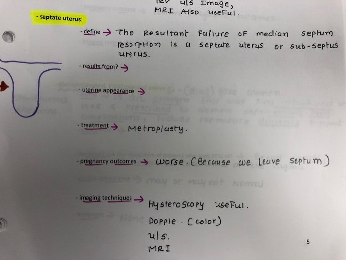 Solved uls Image, MRI Also useful. septate uterus: define → | Chegg.com