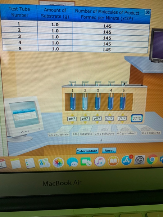 Solved Amount of Substrate (9) Test Tube Number 1 2 3 4 5 | Chegg.com