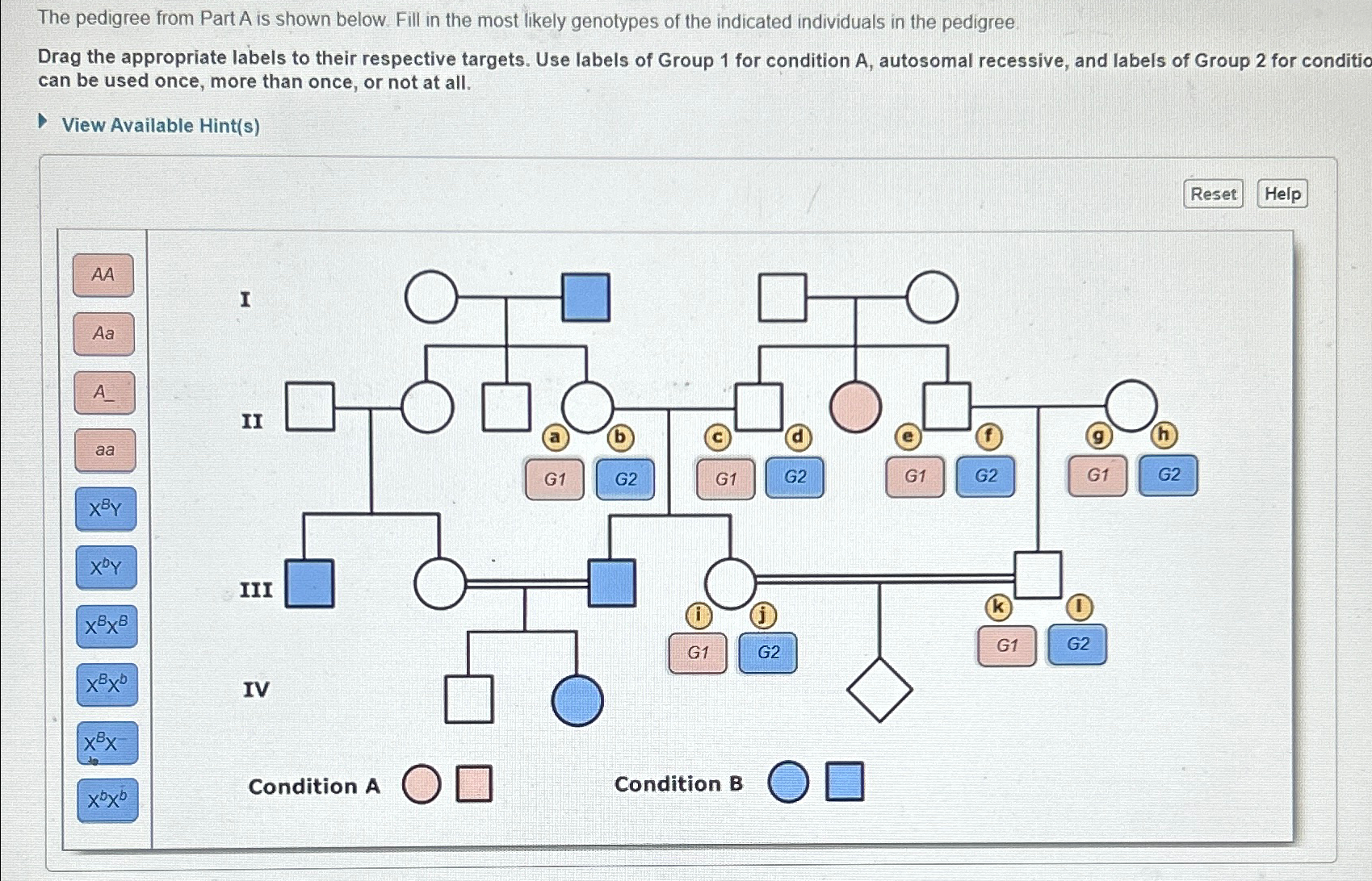 Solved The pedigree from Part A is shown below. Fill in the | Chegg.com