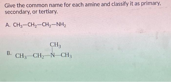 Solved Give the common name for each amine and classify it | Chegg.com