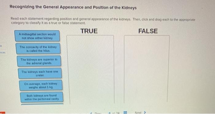 Solved Recognizing the General Appearance and position of | Chegg.com