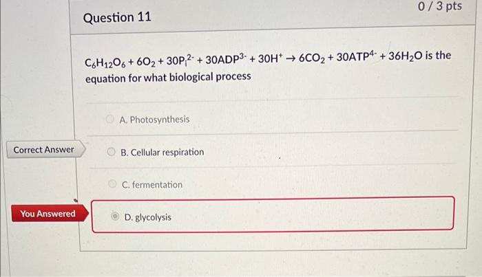 Solved can you explain why those correct anwers are correct | Chegg.com