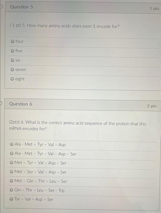 Solved Questions 4 - 6: Transcription resulted in the | Chegg.com