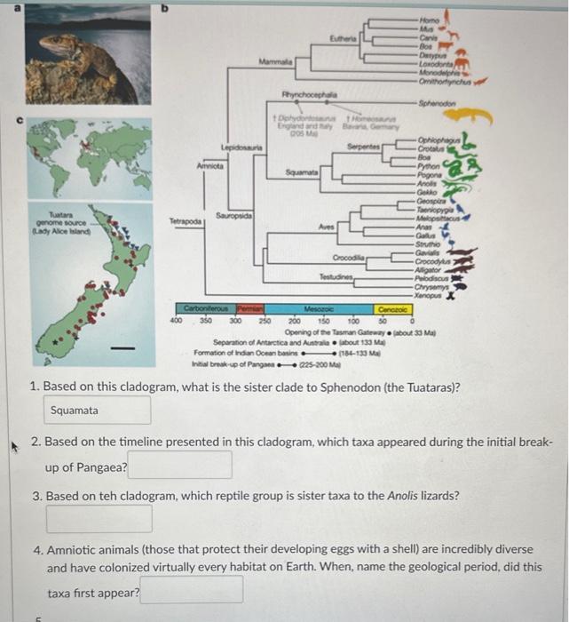 Solved This tree and map represent the distribution of | Chegg.com