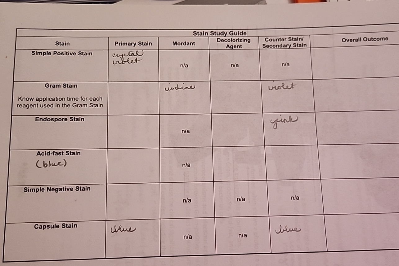 Solved \table[[Stain Study Guide],[Stain,Primary | Chegg.com