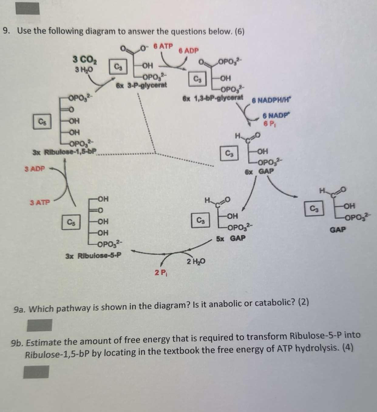 Solved Use the following diagram to answer the questions | Chegg.com
