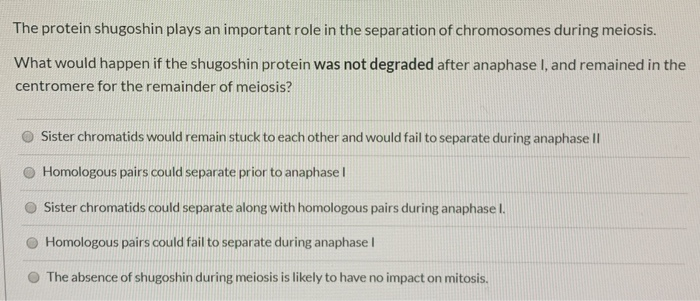 Solved The protein shugoshin plays an important role in the | Chegg.com Solved The protein shugoshin plays an important role in the | Chegg.com