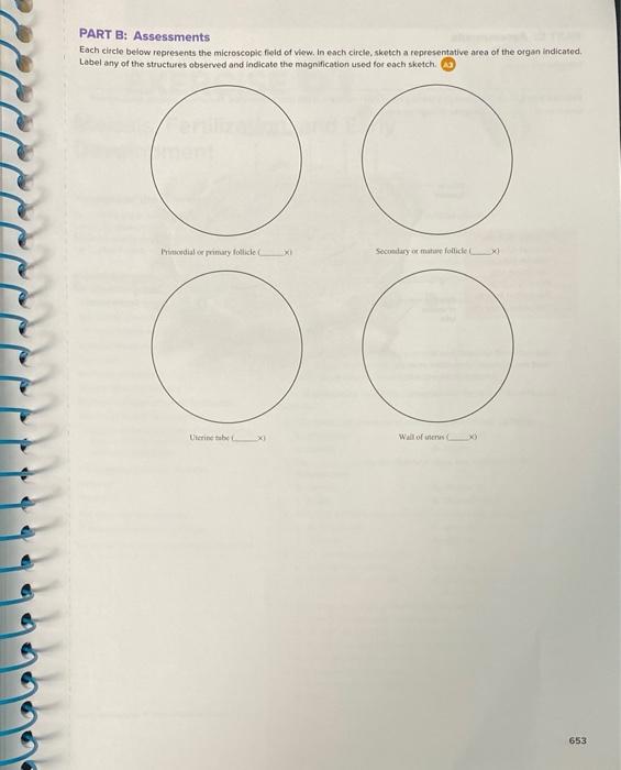 Solved Name LABORATORY ASSESSMENT Date Section 60 The | Chegg.com