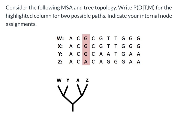 Consider the following MSA and tree topology. Write | Chegg.com