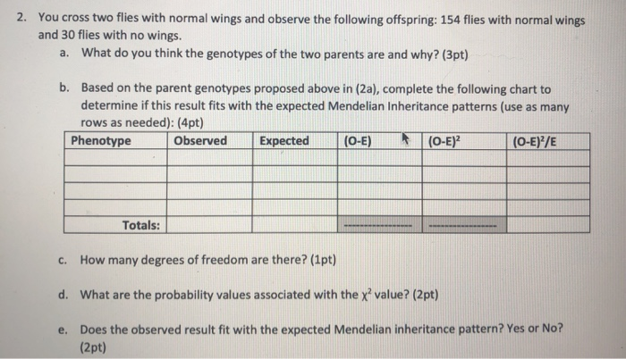 Solved 1. The apterous gene in the fly encodes for a protein | Chegg.com