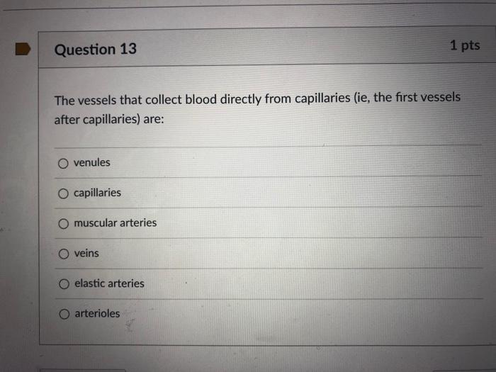 Solved The vessels that collect blood directly from | Chegg.com