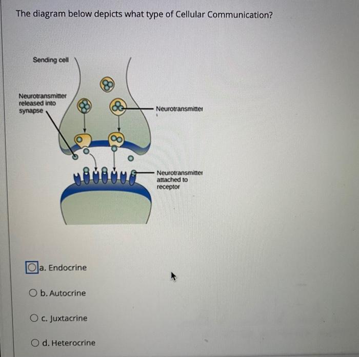 Solved The diagram below depicts what type of Cellular | Chegg.com