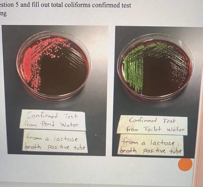 stion 5 and fill out total coliforms confirm 5. Did | Chegg.com