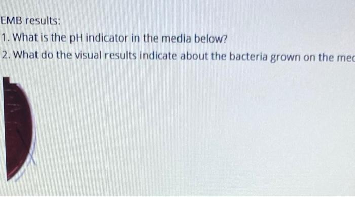 EMB results: 1. What is the pH indicator in the media | Chegg.com