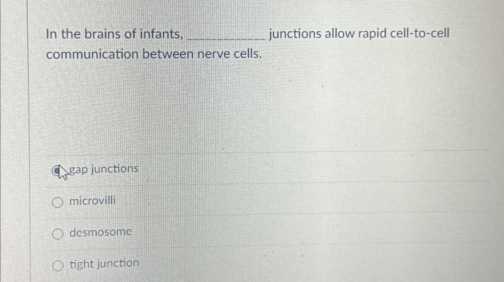 Solved In the brains of infants, junctions allow rapid | Chegg.com