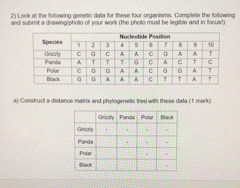Solved 2) Look at the following genetic data for these four | Chegg.com
