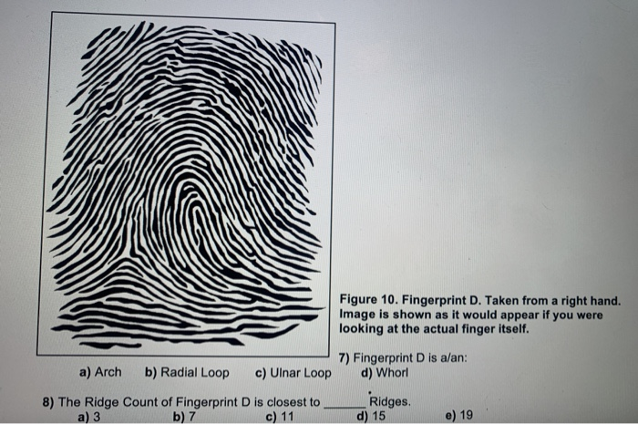 Solved Figure 10. Fingerprint D. Taken from a right hand. | Chegg.com