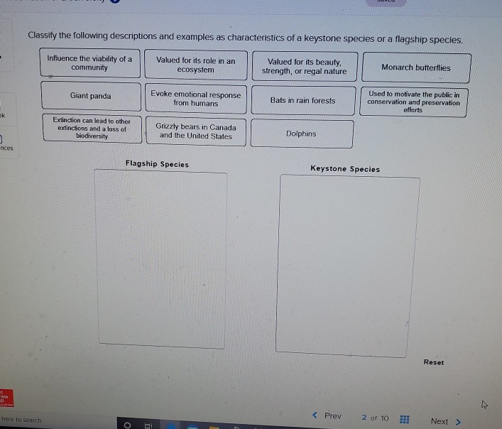 Solved Classify the following descriptions and examples as | Chegg.com