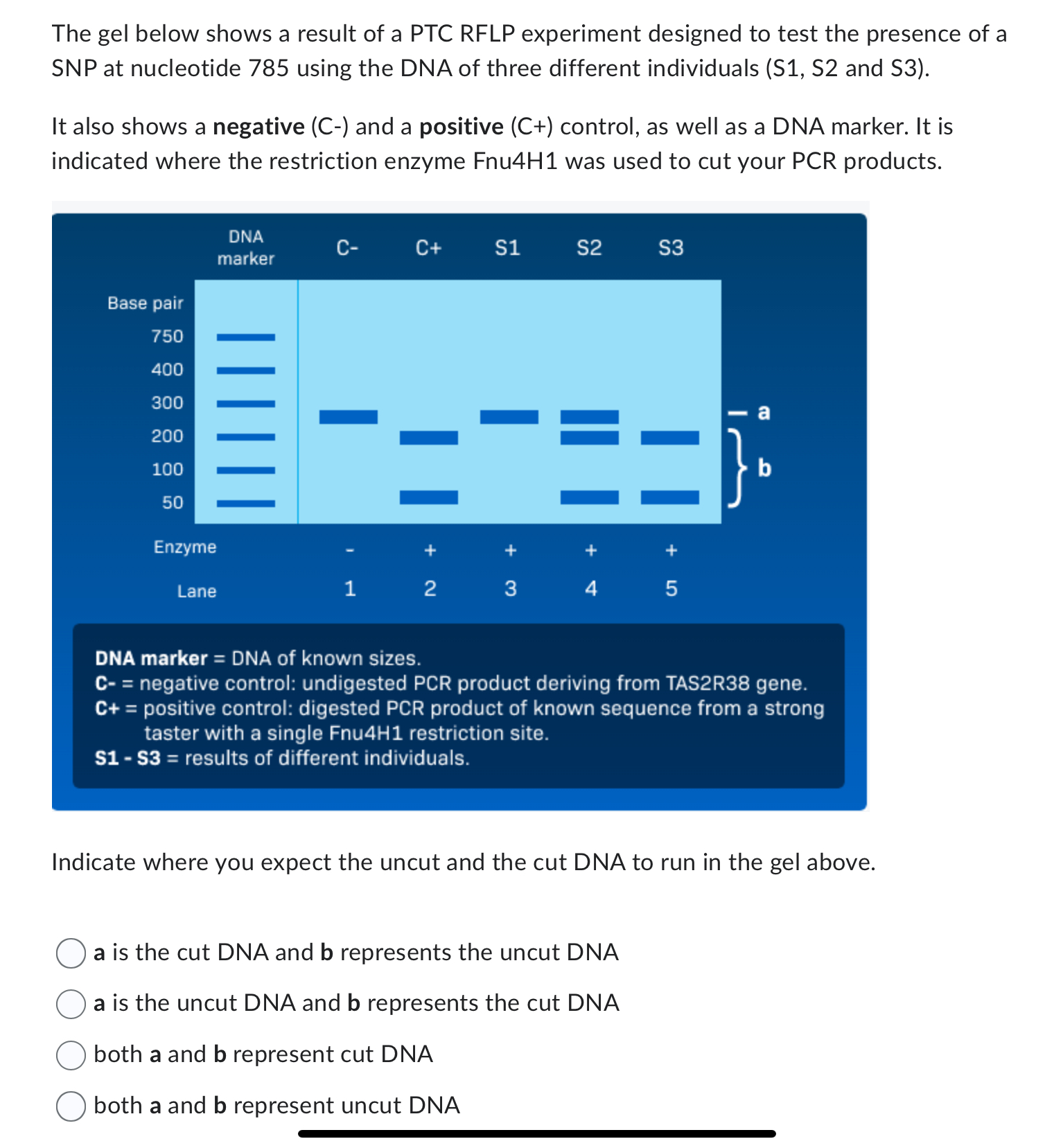 Solved The gel below shows a result of a PTC RFLP experiment | Chegg.com