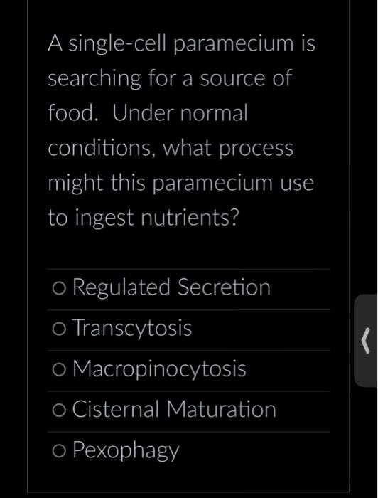 Solved A single-cell paramecium is searching for a source of | Chegg.com