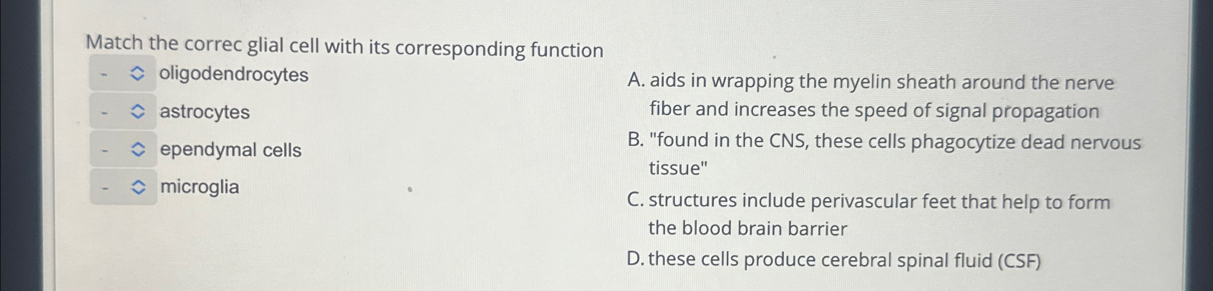 Solved Match the correc glial cell with its corresponding | Chegg.com