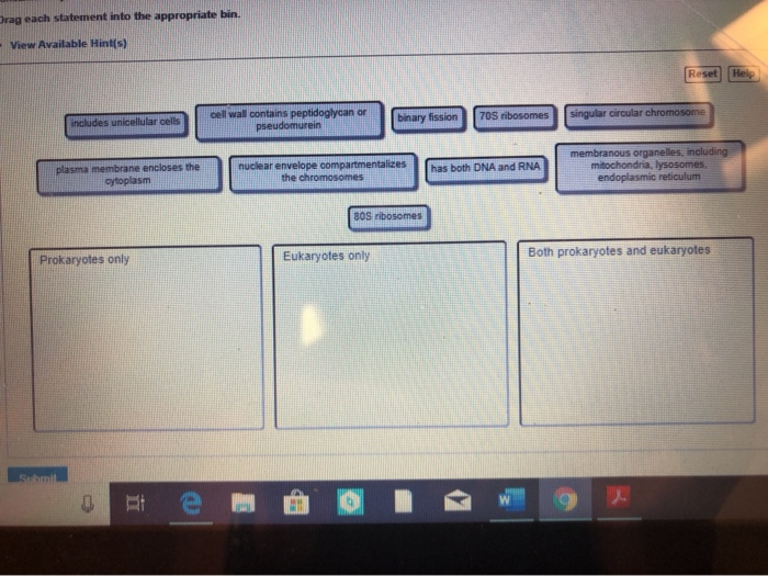 Solved rag each statement into the appropriate bin. View | Chegg.com