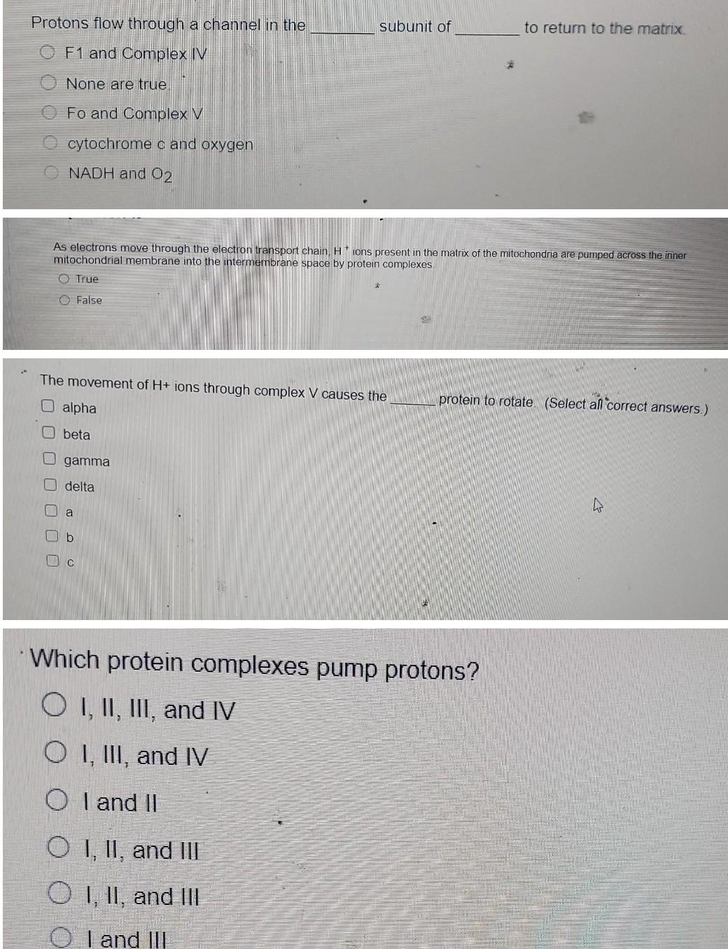 Solved Protons flow through a channel in the subunit of to | Chegg.com